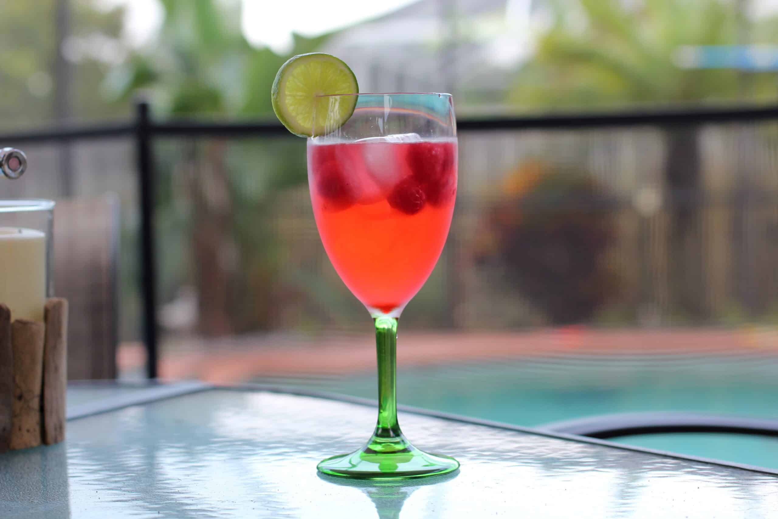 Cran-Raspberry Martini · Erica's Recipes