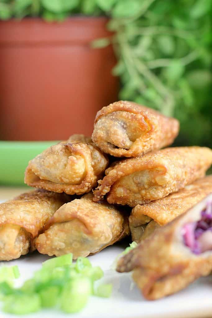 Red Cabbage and Radish Spring Rolls – Erica's Recipes