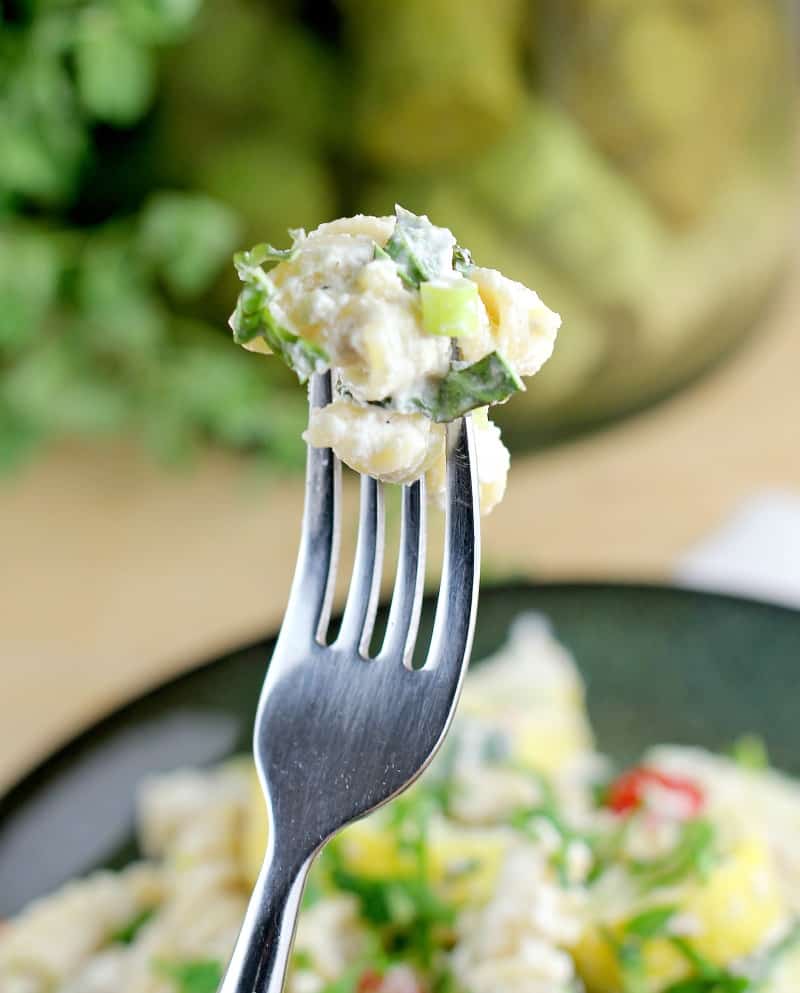 Creamy Vegan Vegetable Primavera – Erica's Recipes