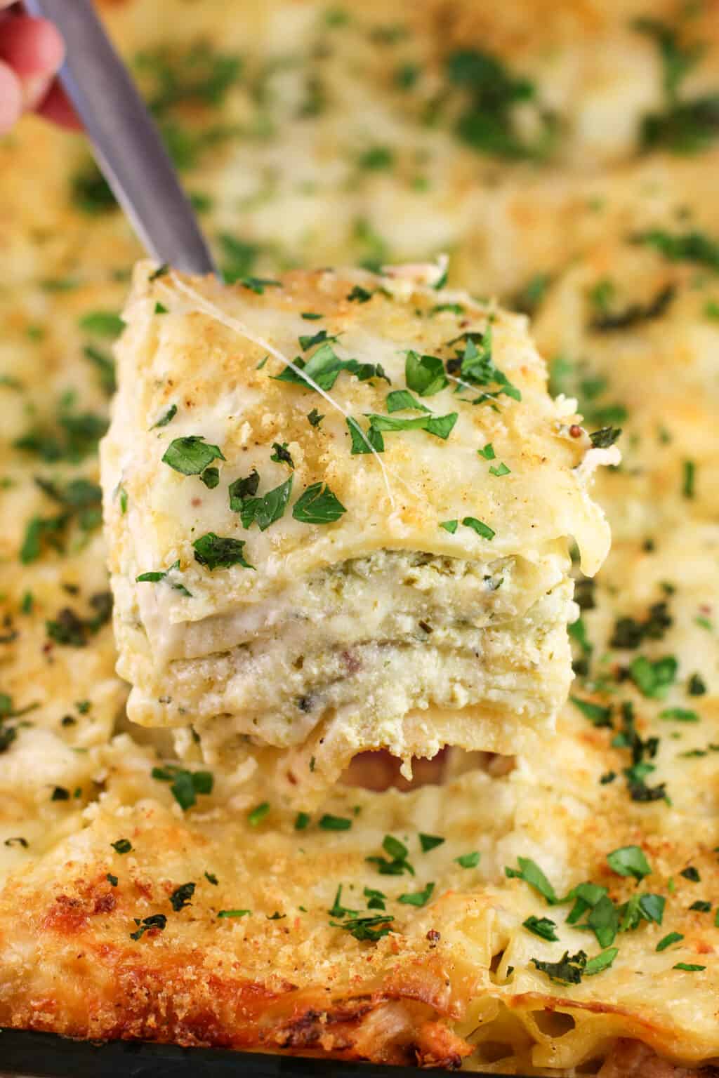 Pesto Salmon Lasagna – Erica's Recipes